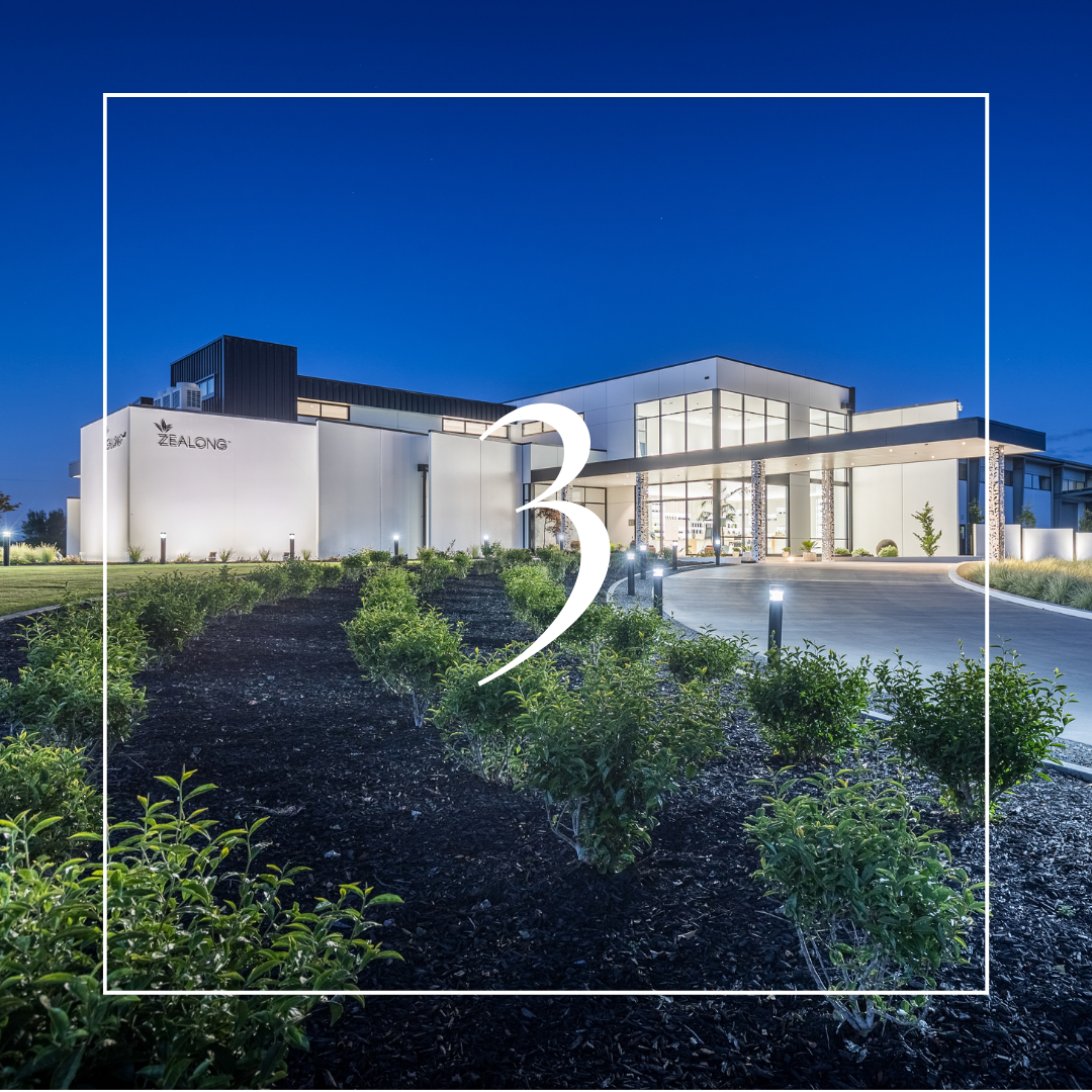 Taria - Official USA Importer of Zealong Organic Tea, New Zealand